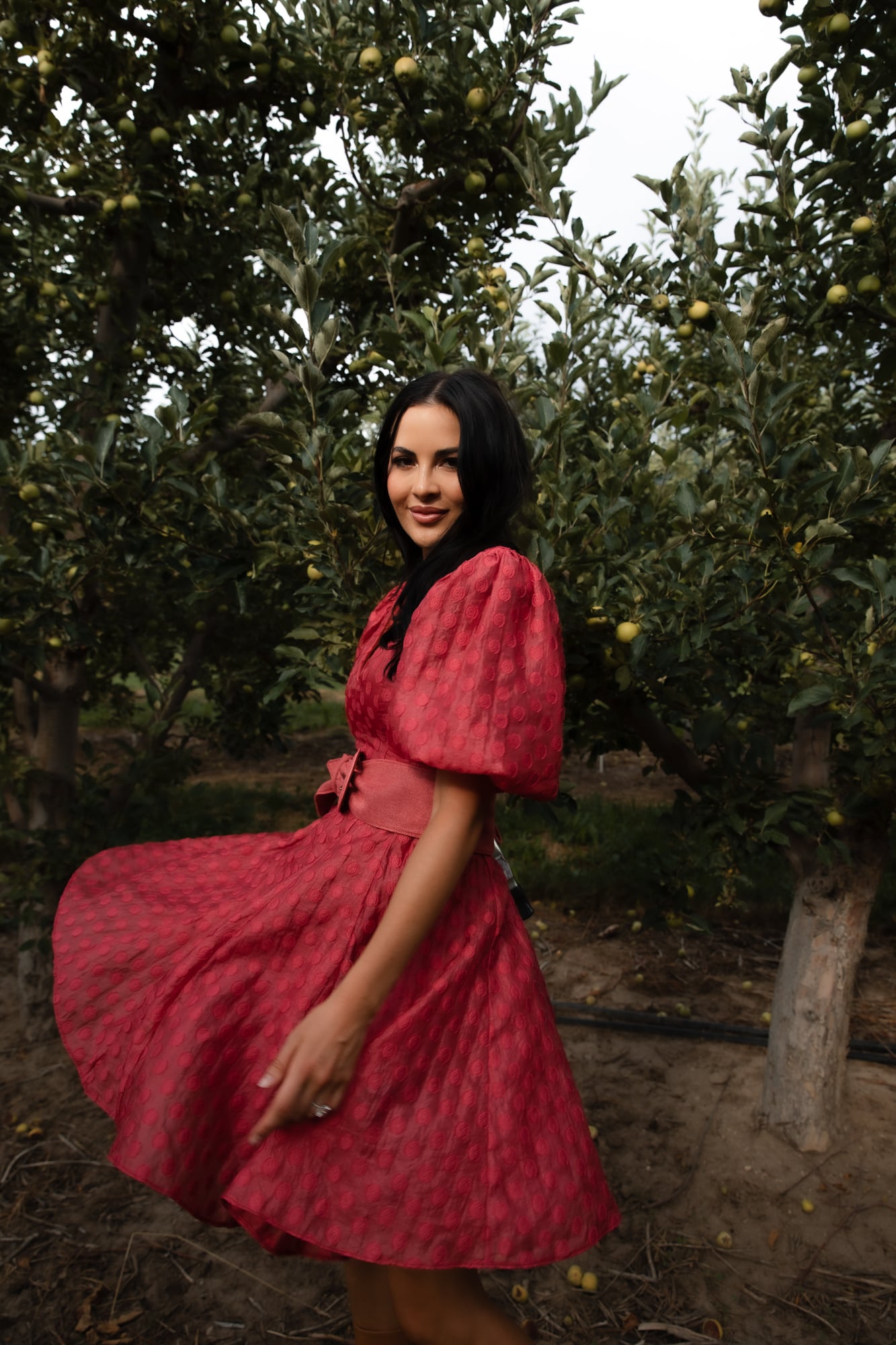 Searching for the Perfect Fall Dresses? Look No Further... – Rachel ...