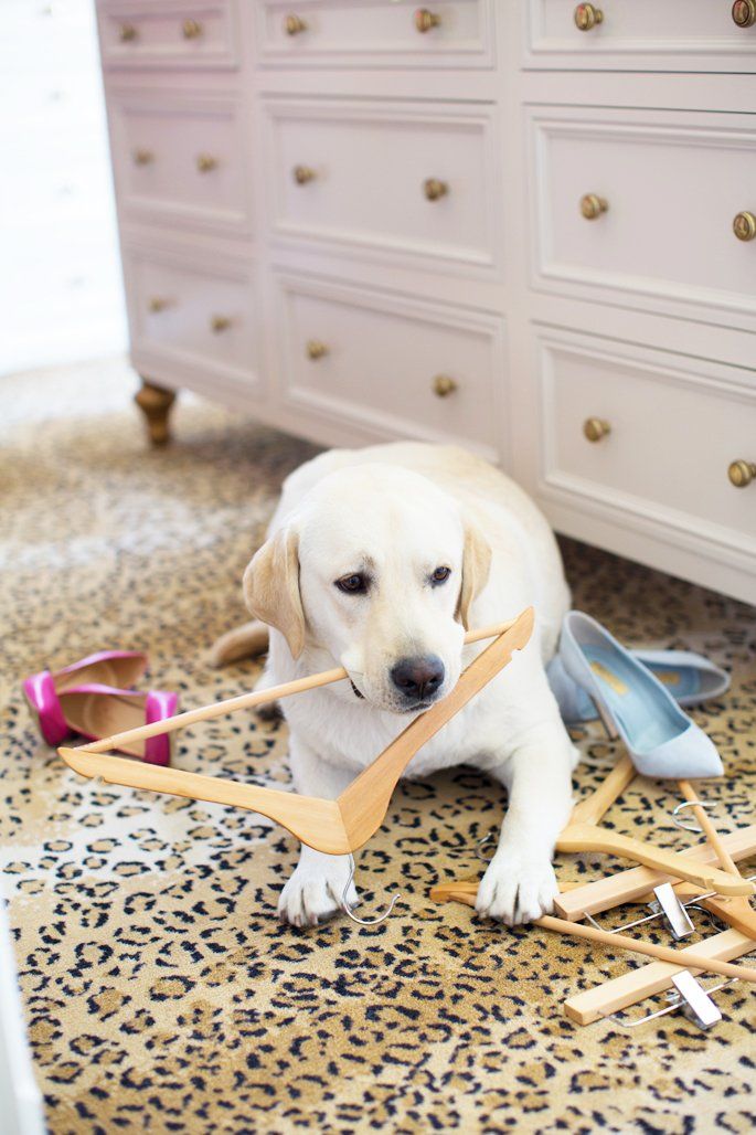 Closet Clean-out with Vestiaire... – Rachel Parcell, Inc.