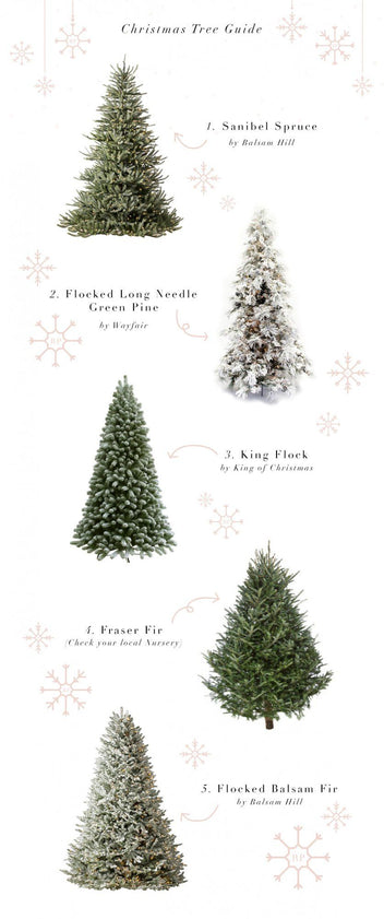 Guide to picking out the perfect Christmas tree... – Rachel Parcell, Inc.